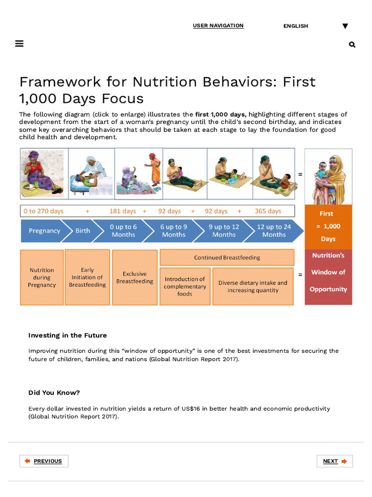 Framework For Nutrition Behaviors: First 1,000 Days Focus: User ...