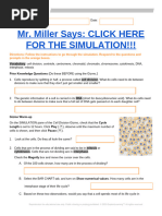 Amoeba Sisters Cell Cycle-1 | PDF | Mitosis | Chromosome