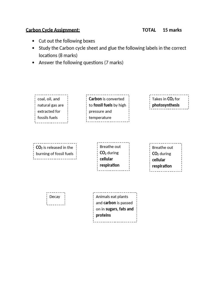 Carbon Cycle Assignment (1L) | PDF