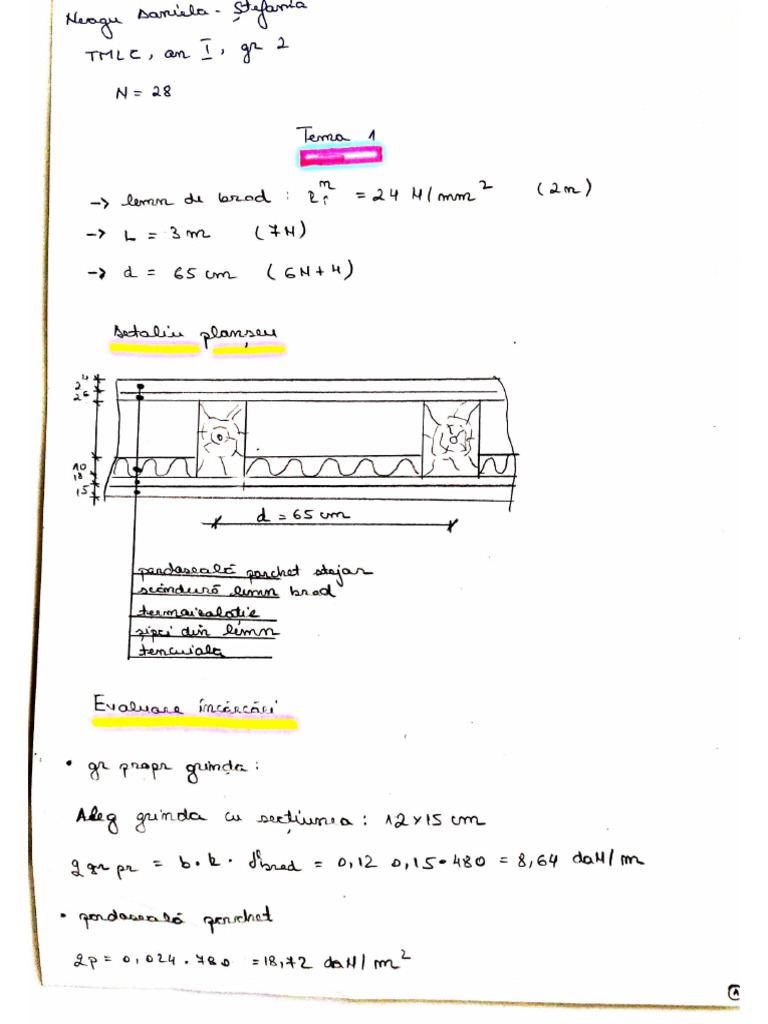 Neagu Daniela, TMLC, An I, GR 2 | PDF