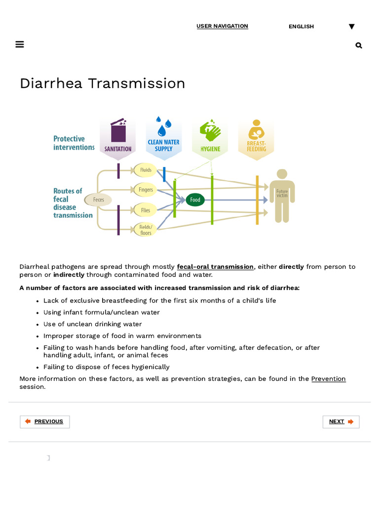 Diarrhea Transmission: User Navigation English | PDF