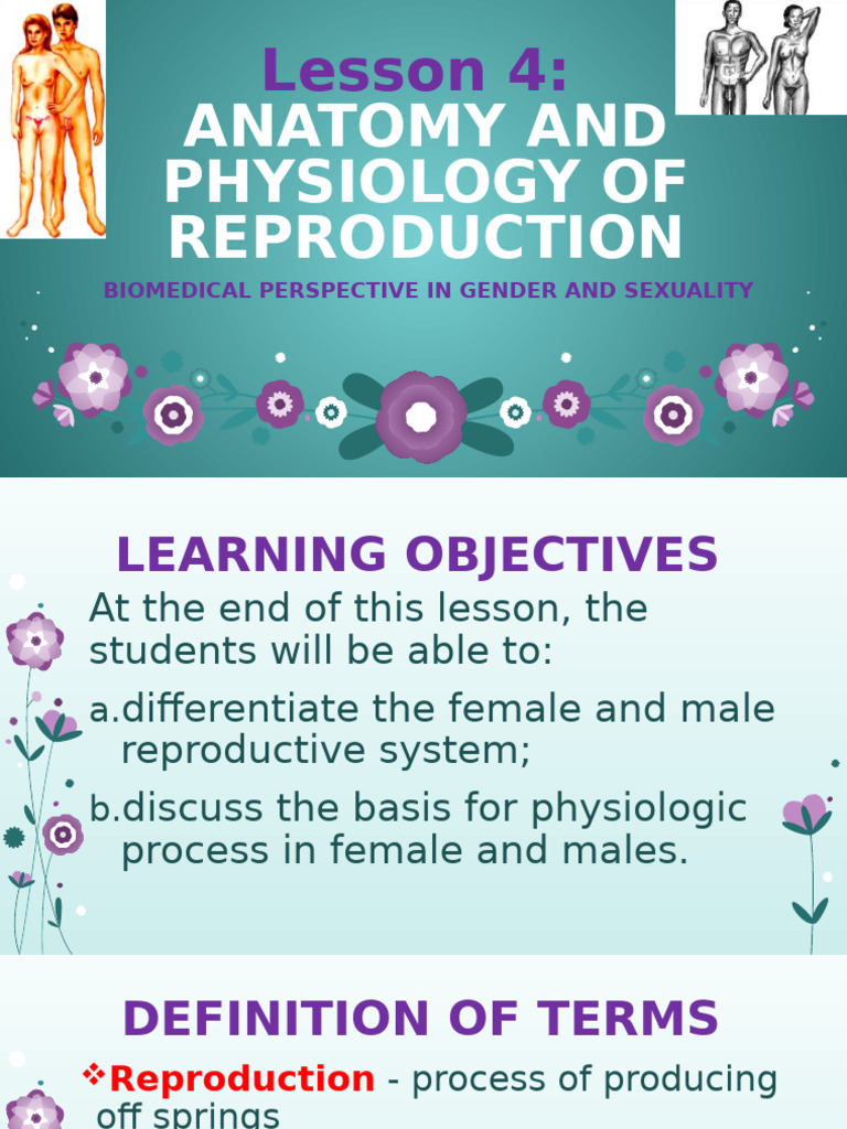 Lesson 4 ANATOMY AND PHYSIOLOGY OF REPRODUCTION | PDF | Menstrual Cycle | Mammal Reproductive System
