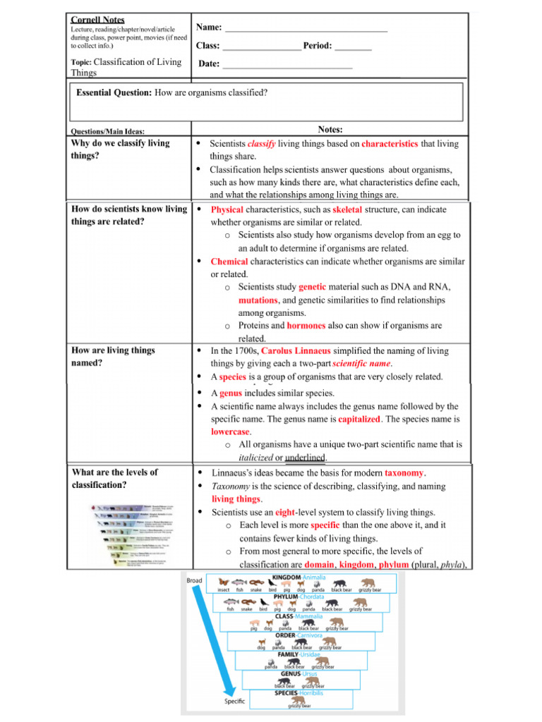 Taxonomy Cornell Notes | PDF