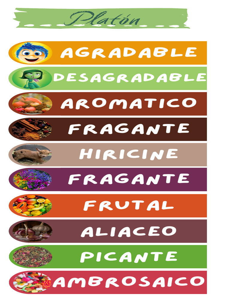 Tipos de Olores | PDF