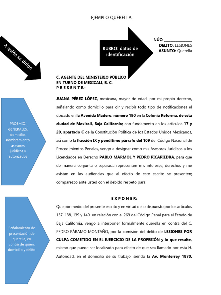 QUERELLA EJEMPLO | PDF | Queja | Derecho penal