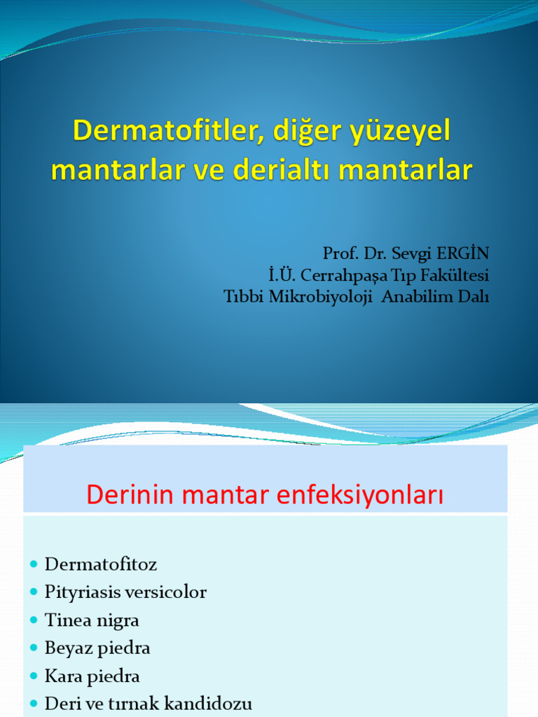 3 Dermatofitler | PDF
