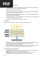 GRADE 7 BIOLOGY 2023-24 TEXTBOOK Edited | PDF | Photosynthesis | Plants