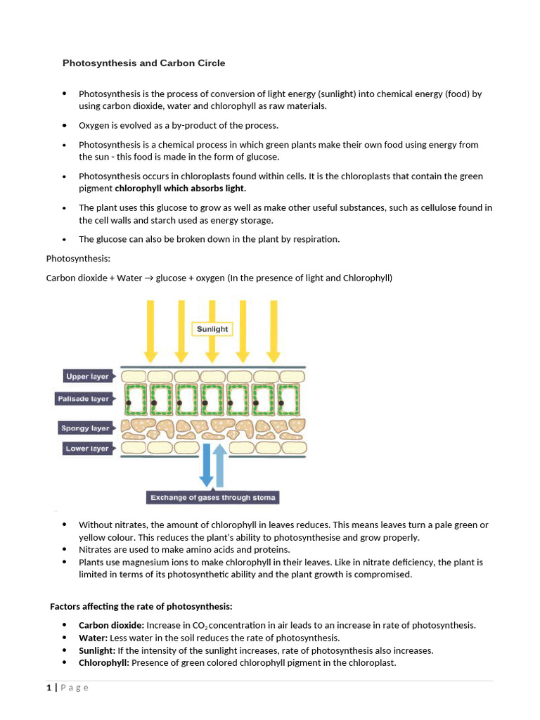 Photosynthesis and Carbon Circle | PDF | Photosynthesis | Plants