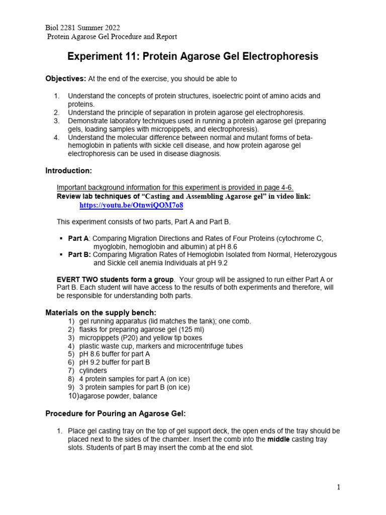E11-Protein Agarose Gel-Procedure and Lab Report-Summer 2022 | PDF ...