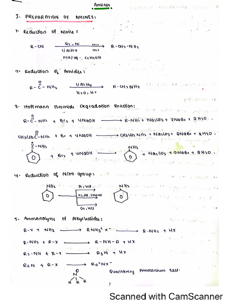 Amines Notes | PDF