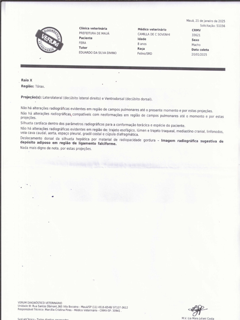 Exame_24558_2025-02-06T18_23_46.386774 | PDF