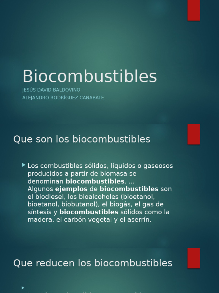 Biocombustibles | PDF