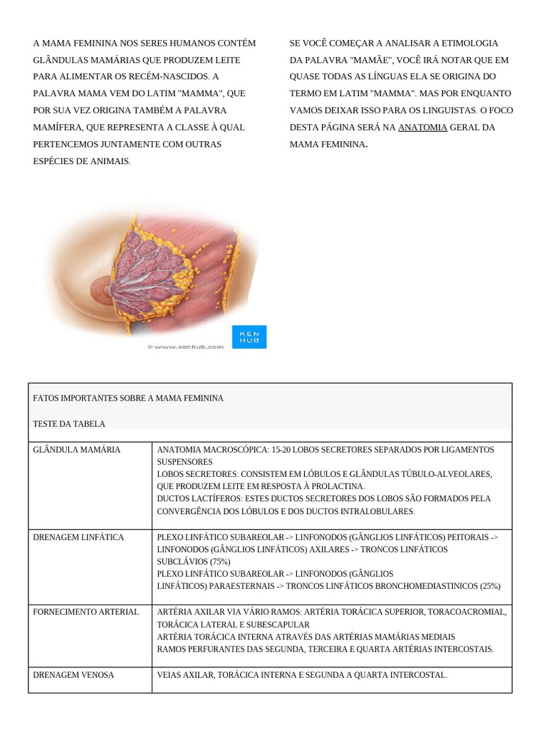 Anatomia da Mama Feminina e Funções | PDF | Seio | Anatomia humana
