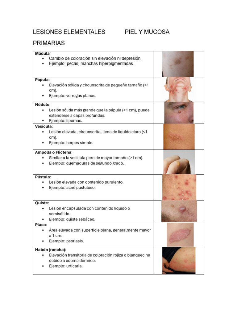 Lesiones Elementales de la Piel | PDF