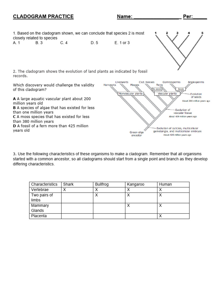 cladogram_practice_problems | PDF