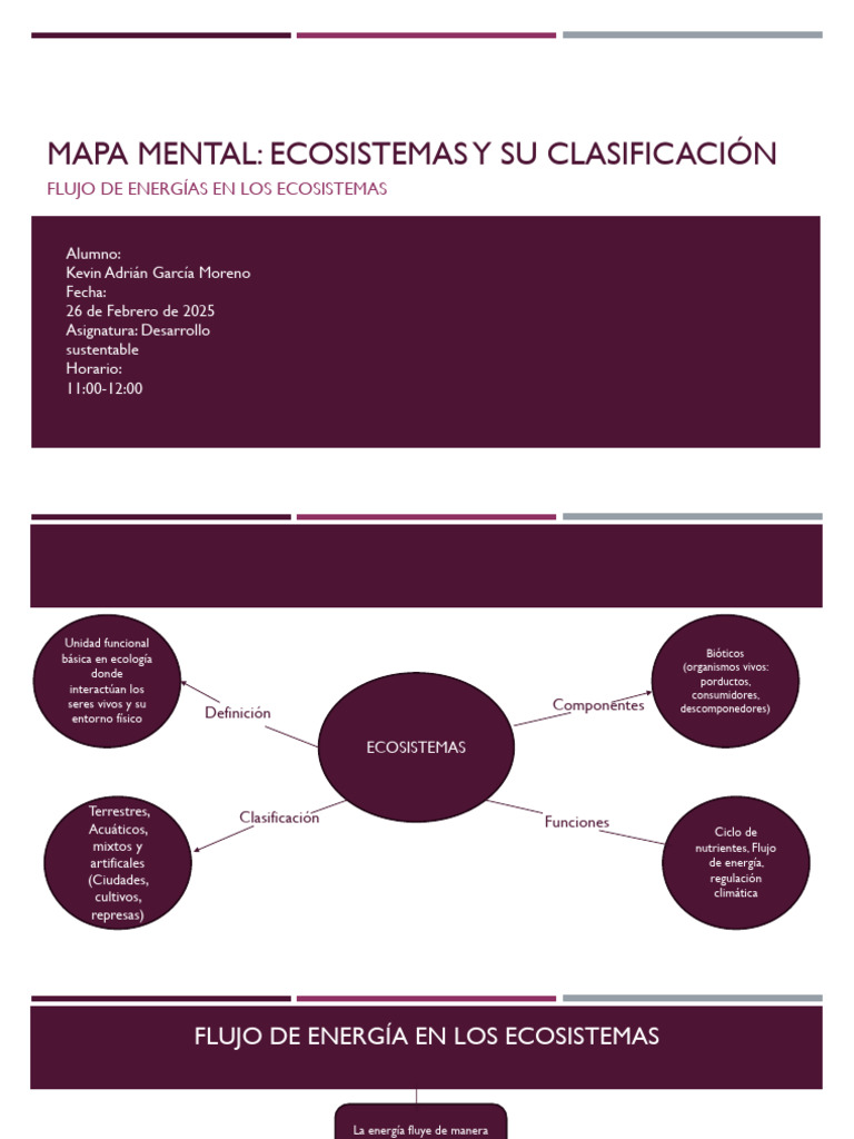 Mapa Mental-Kevin Adrián García Moreno | PDF | Ecosistema | Organismos