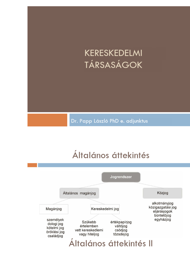 Értékpapírok És Társaságok, Magyar Papp LAci | PDF