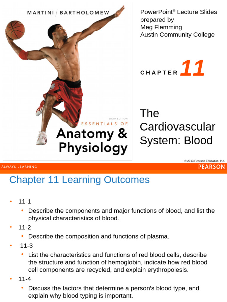 CH 11 Lecture Presentation | PDF | Blood Plasma | Blood