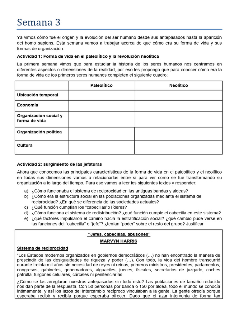 Paleolítico Neolítico | PDF | Mujer | Sociedad