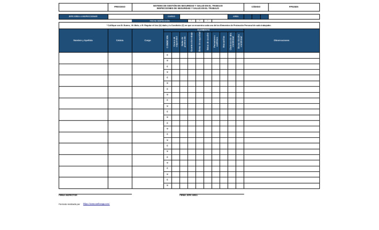 Inspección EPP: Evaluación y Condición | PDF