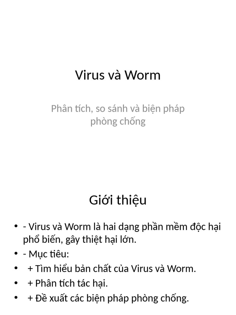Virus and Worm Presentation VN (1) | PDF