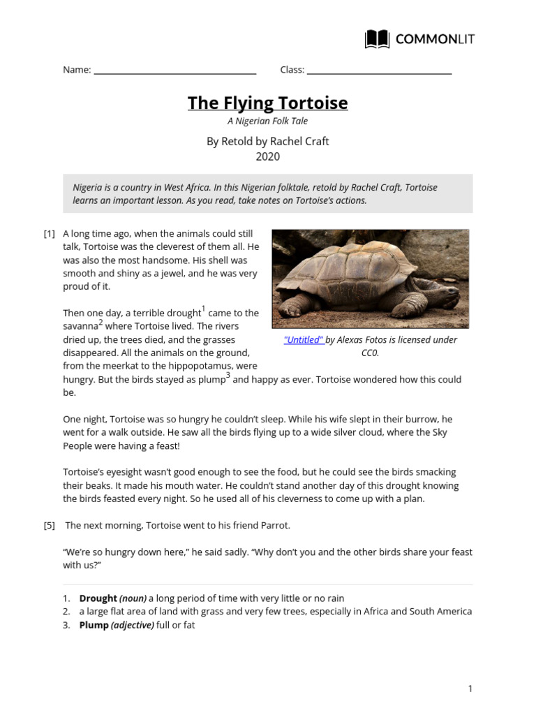 The Flying Tortoise-Student | PDF