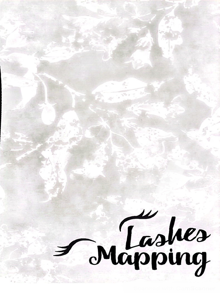 Agenda Mapping | PDF