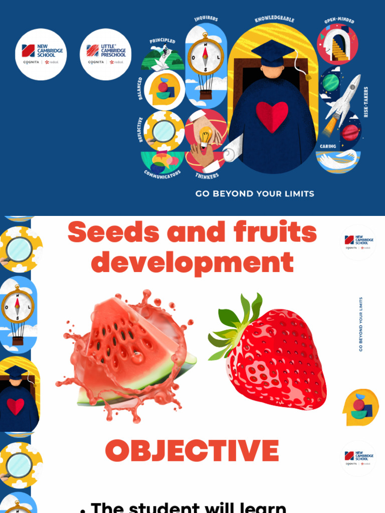 Class 3 Seeds and Fruits Development | PDF