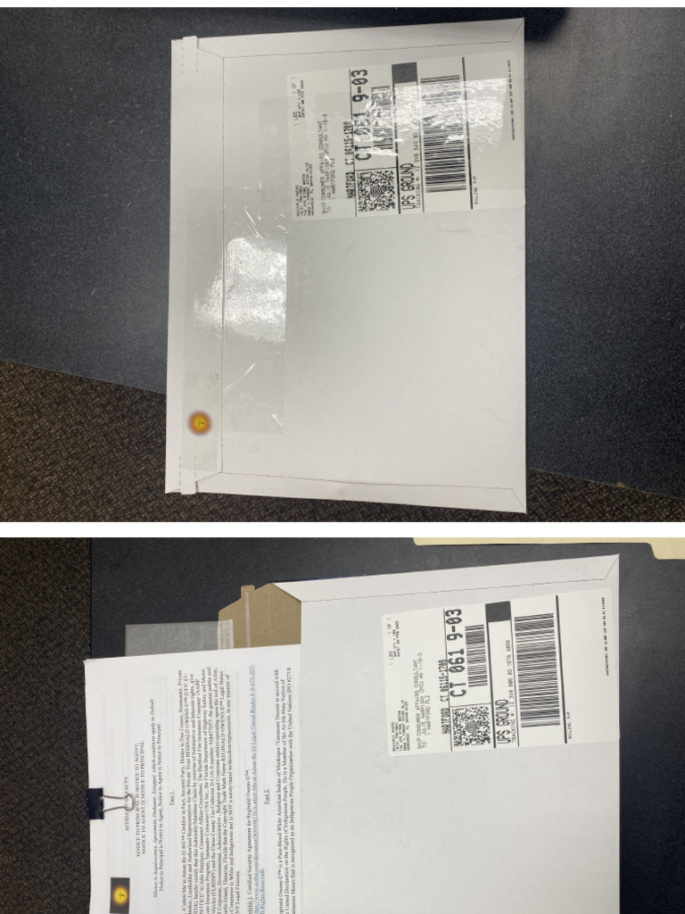 Affidavit of Facts UPS Delivery Confirmation 1Z388060316764058 by The ...