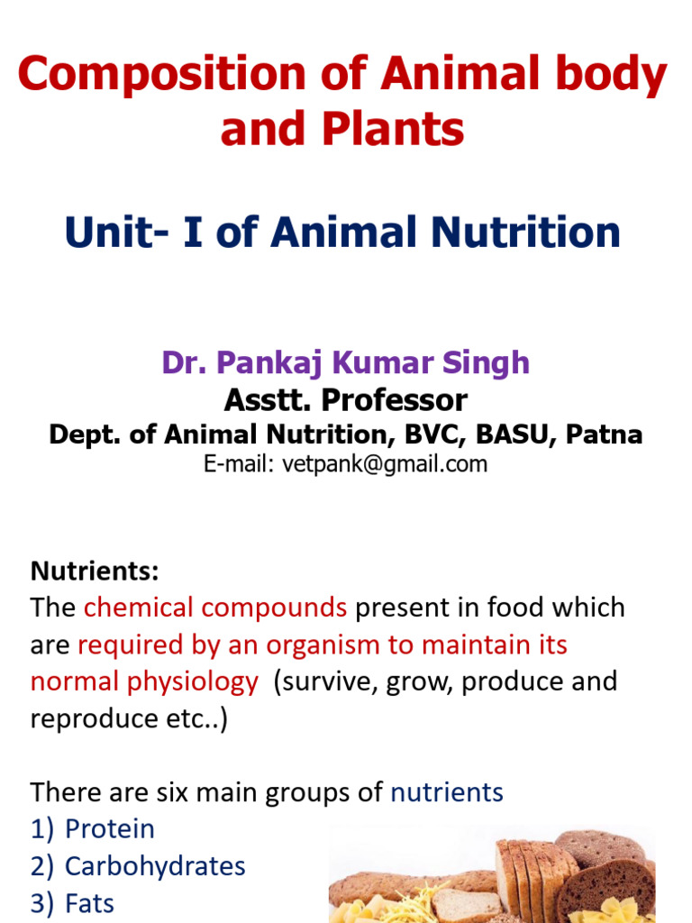 Nutrient Composition in Animals & Plants | PDF | Nutrition | Diet ...