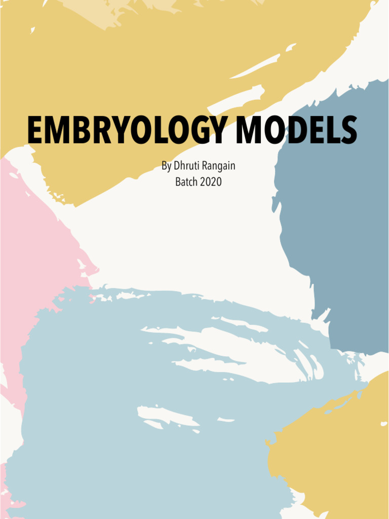 Embryology Models | PDF | Aorta | Anatomy