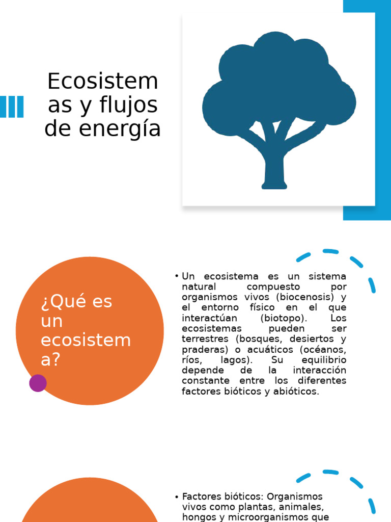 Ecosistemas y Flujos de Energía | PDF | Ecosistema | Red alimentaria