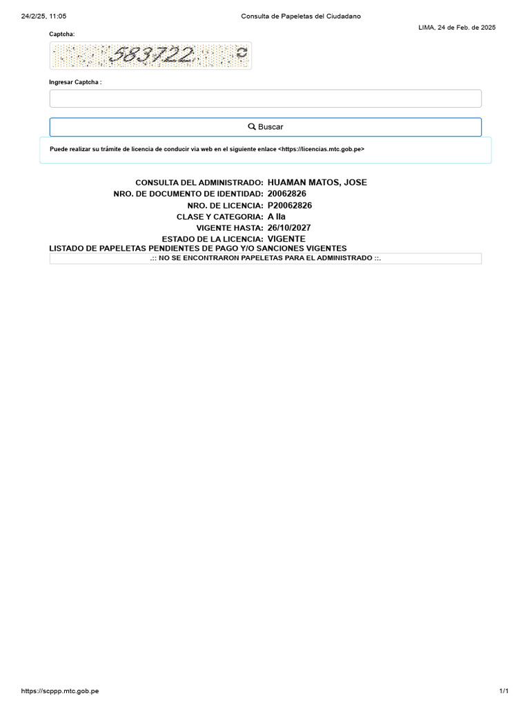 Consulta de Papeletas Del Ciudadano | PDF