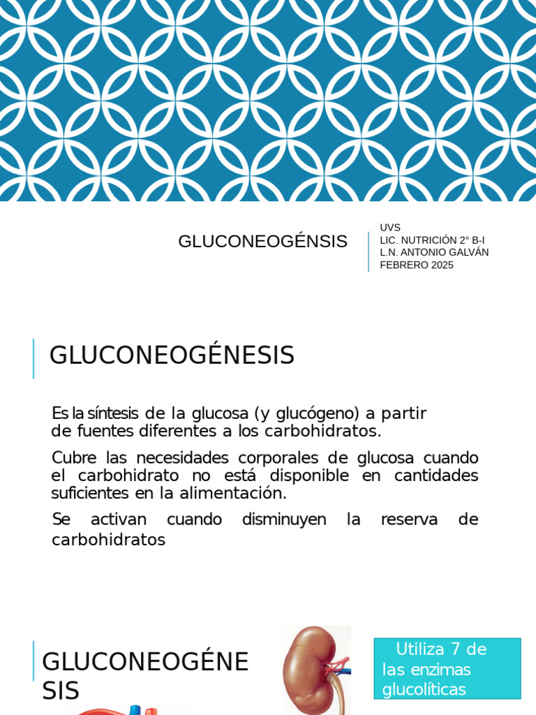 Gluconeogénesis y Ciclo de Krebs en Metabolismo | PDF | Trifosfato de ...