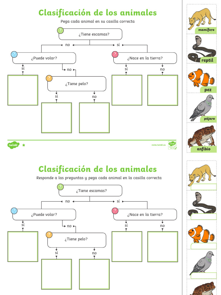 Ficha de Actividad Por Niveles Clasificación de Los Seres Vivos | PDF ...