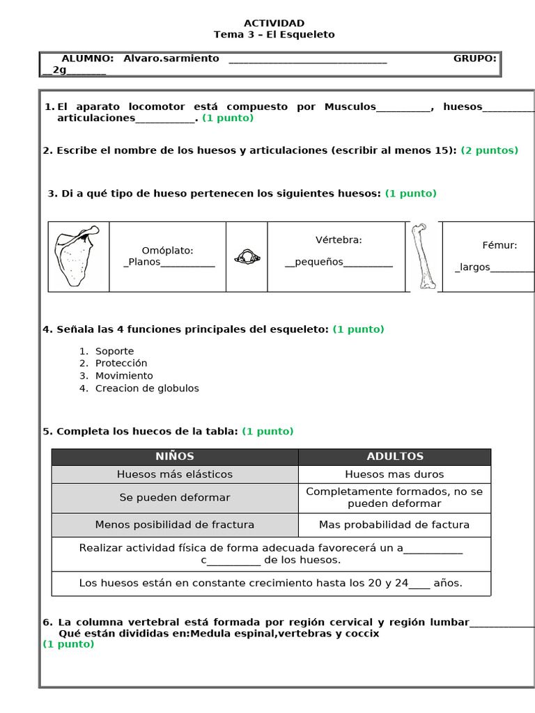 Act. Tema 3 - (El Esqueleto) | PDF