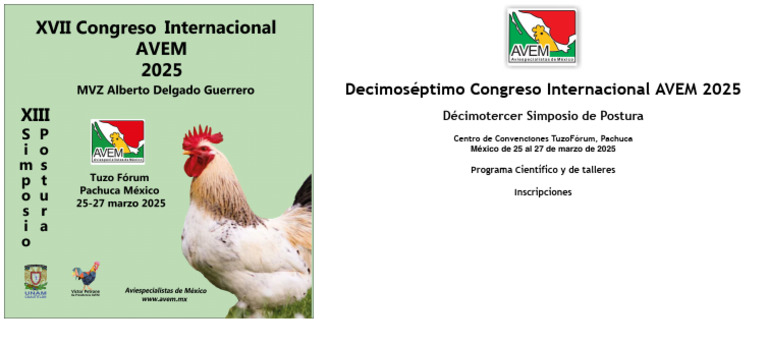 Congreso AVEM 2025: Programa y Talleres | PDF