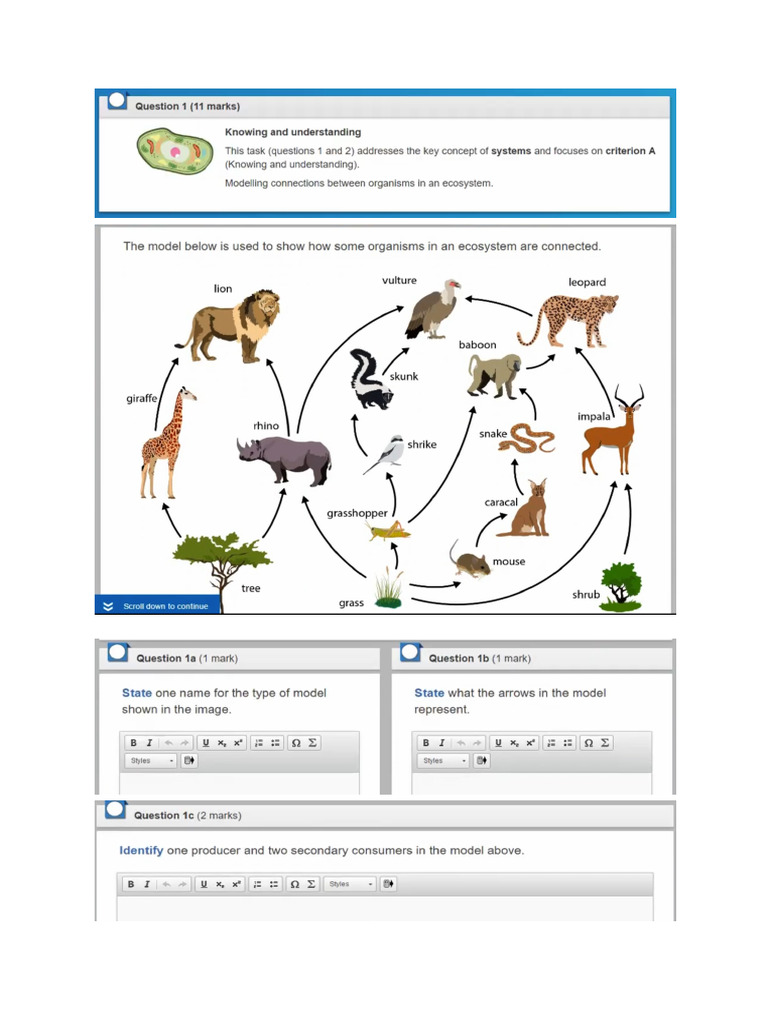 Myp n19 Biology | PDF
