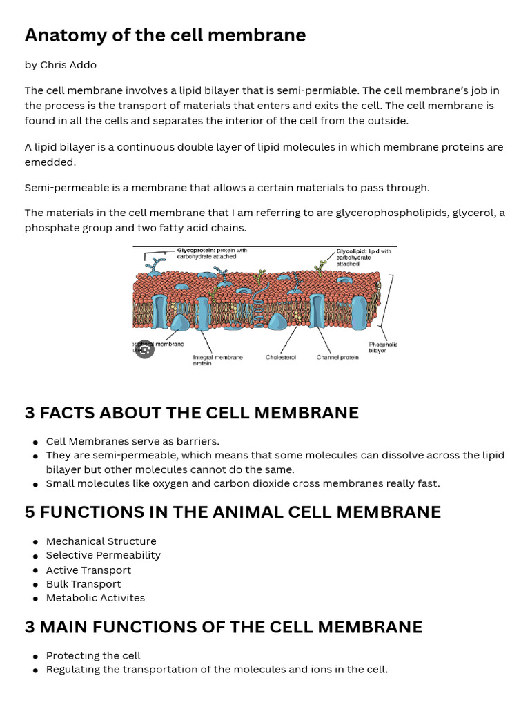 Cell Membrane Structure and Functions | PDF