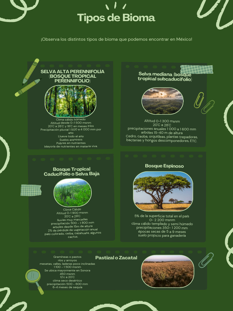 Janeth | PDF | Desierto | Selva