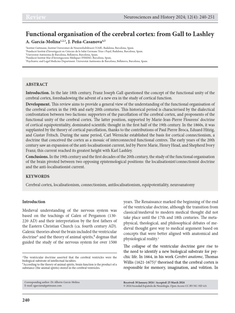 Functional Organization of The Cerebral Cortex History 1738547983 | PDF ...