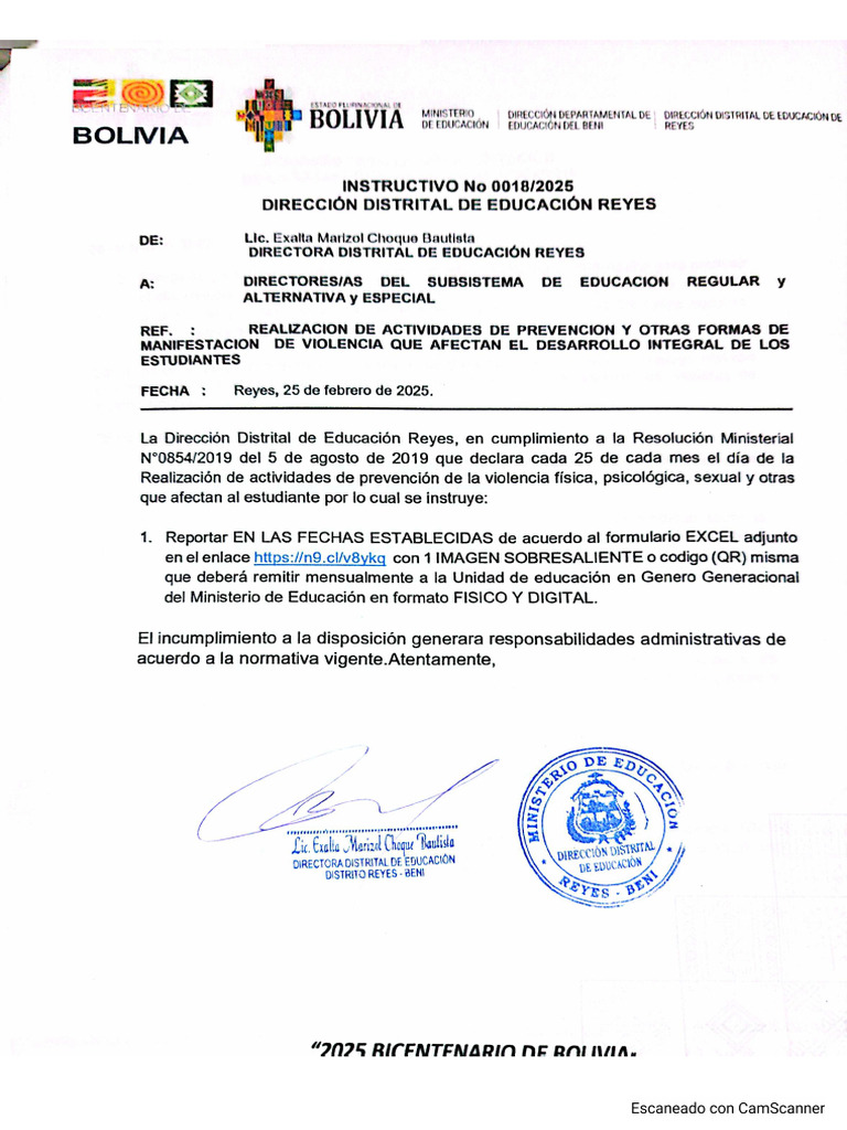 18 INSTRUCTIVO REPORTAR EN FECHAS EXCEL ACT VIOLENCIA | PDF