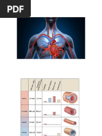 Anatomia do Sistema Venoso Ázigo | PDF | Fígado | Abdômen