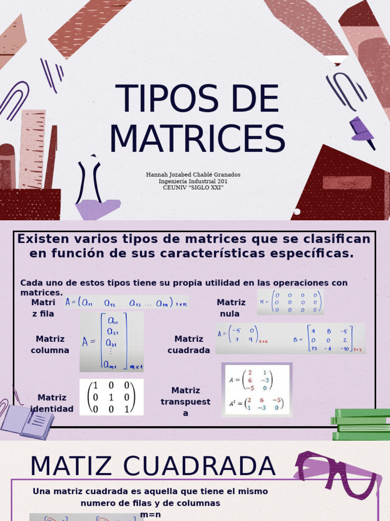 Tipos de Matriz | PDF | Matriz (Matemáticas) | Física Matemática