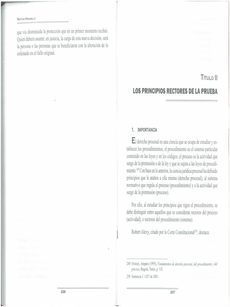 Principios Rectores de La Prueba | PDF