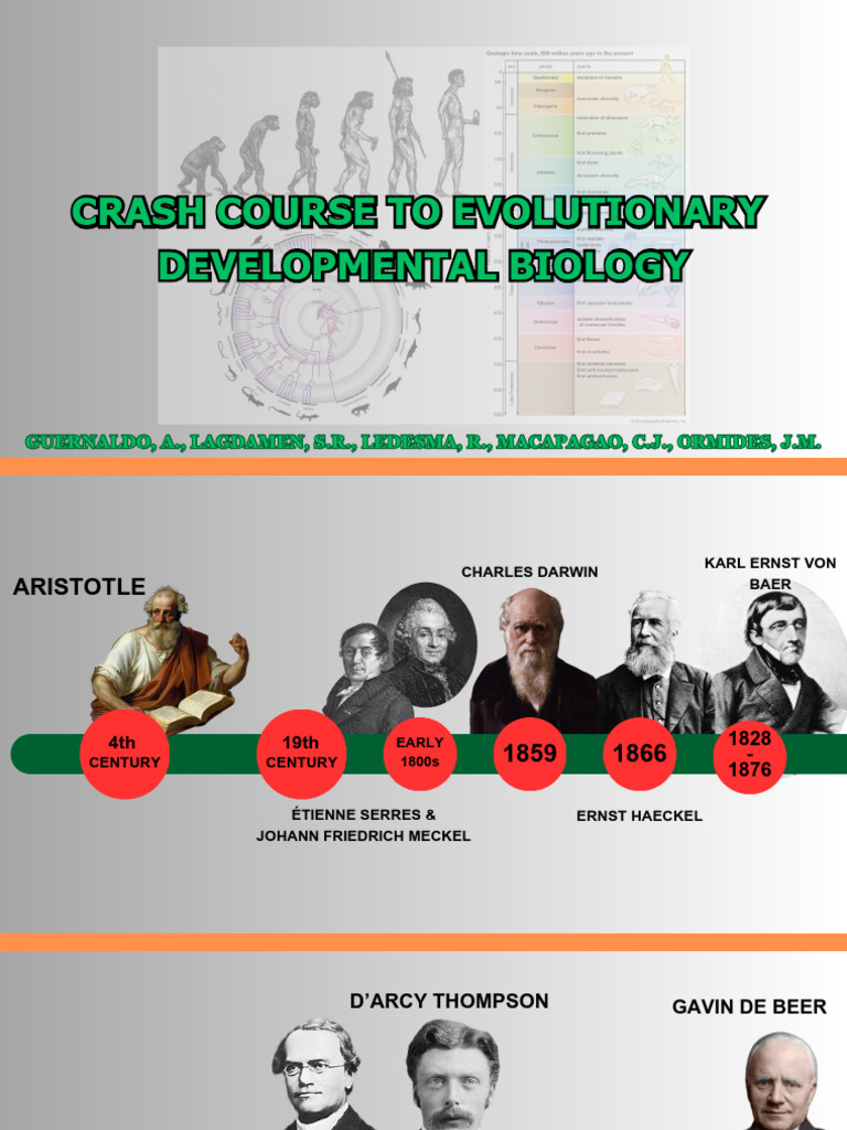 Crash Course To Developmental Evolutionary Biology | PDF