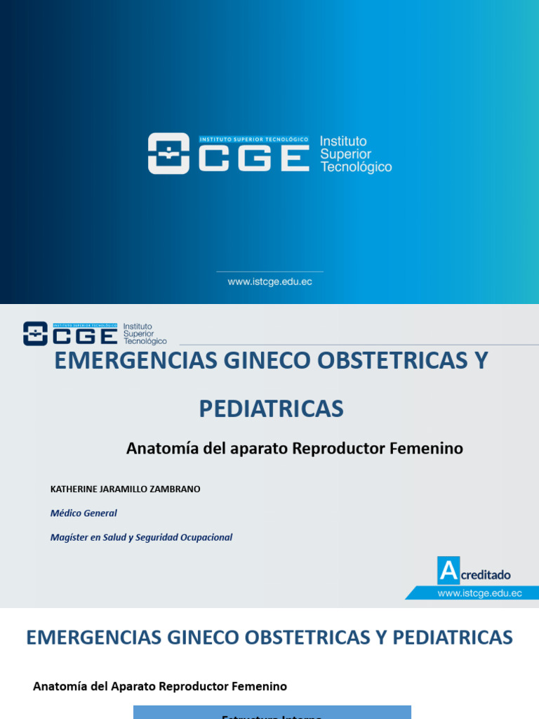 1.anatomia Organos Internos y Organos Externos | PDF | Vagina | Labios