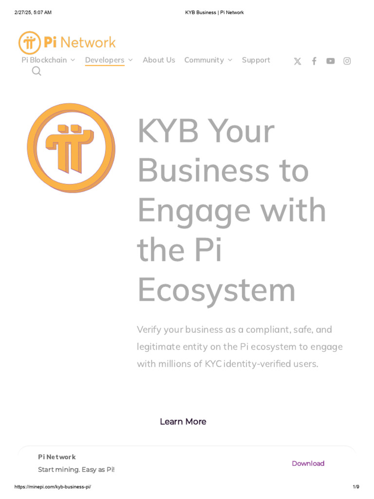 KYB Business - Pi Network | PDF | Cryptocurrency | Computer Security