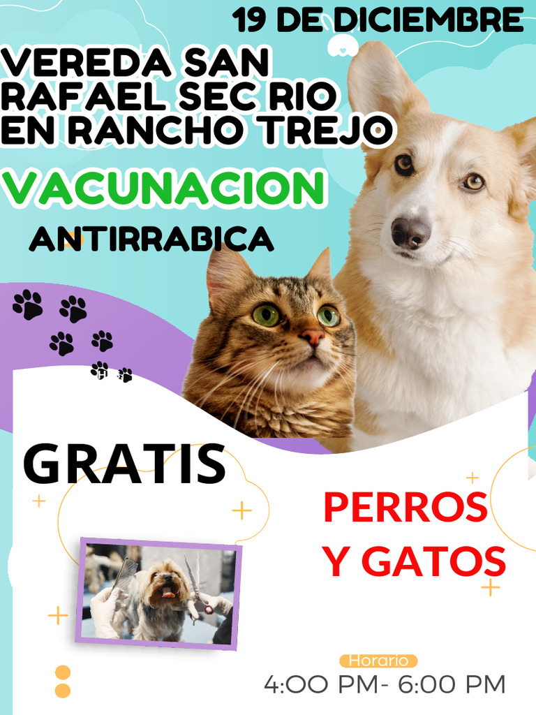 Flyer Anuncio Veterinaria y Pet Shop Profesional Azul y Morado (3) | PDF