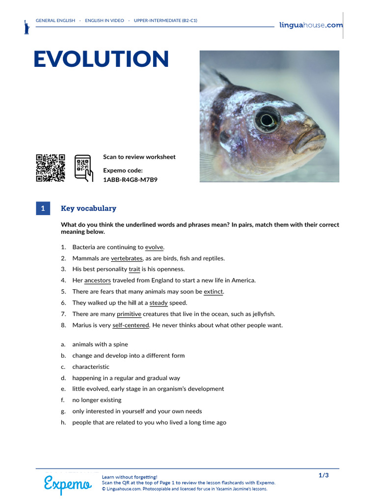 Understanding Evolution: Key Concepts | PDF | Evolution | Mammals